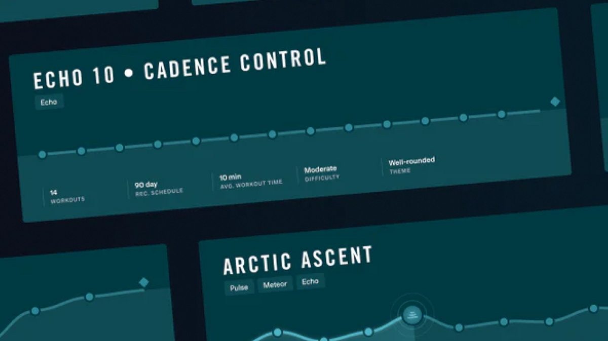 PUSH PROGRAM RECOMMENDATIONS – Ergatta